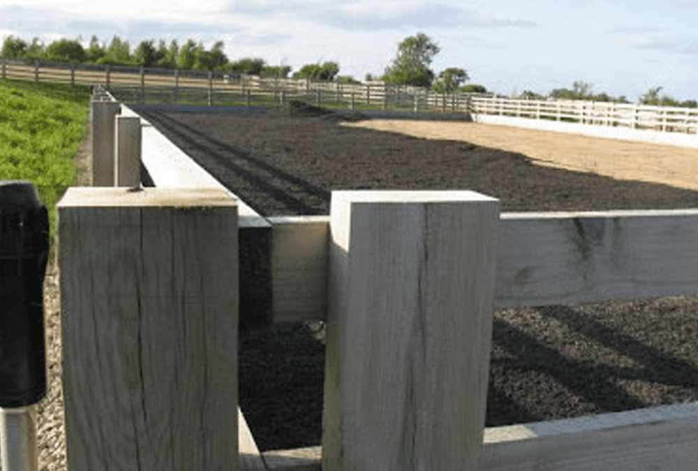 Upgrade Your Old Arena with Royal Arenas - Royal Arenas